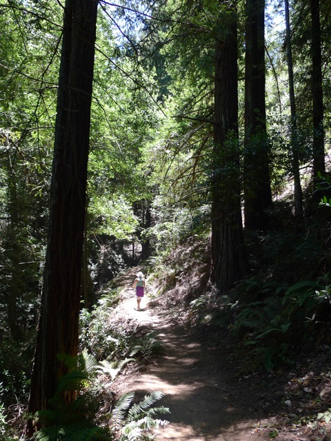 French Trail Loop | The Undiscovered Hikes of Lamorinda