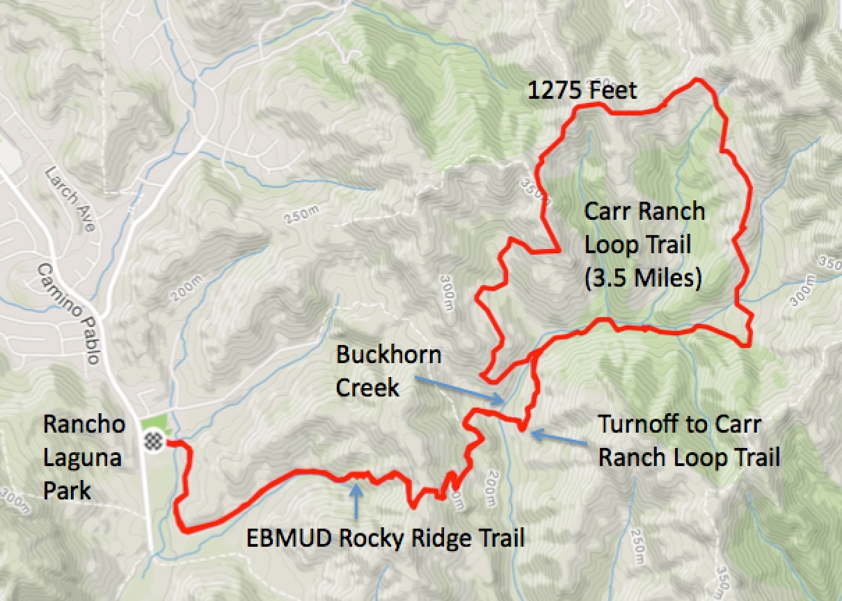 Carr Ranch Loop Trail | The Undiscovered Hikes of Lamorinda