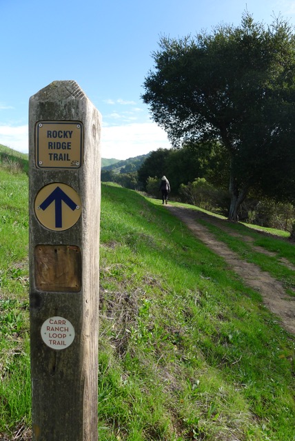 Carr Ranch Loop Trail | The Undiscovered Hikes of Lamorinda