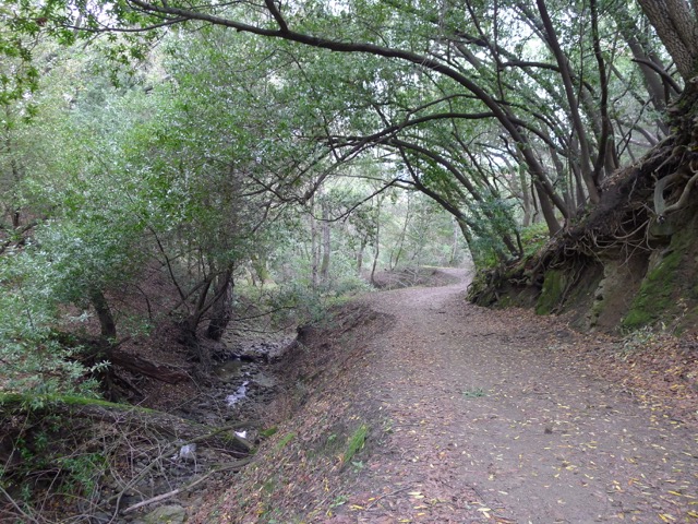 Carr Ranch Loop Trail | The Undiscovered Hikes of Lamorinda