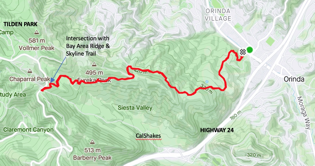 De Laveaga Trail to Siesta Valley | The Undiscovered Hikes of Lamorinda