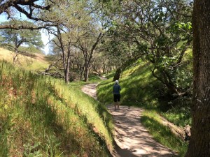Kovar to Indian Creek Trail (Shell Ridge) | The Undiscovered Hikes of ...